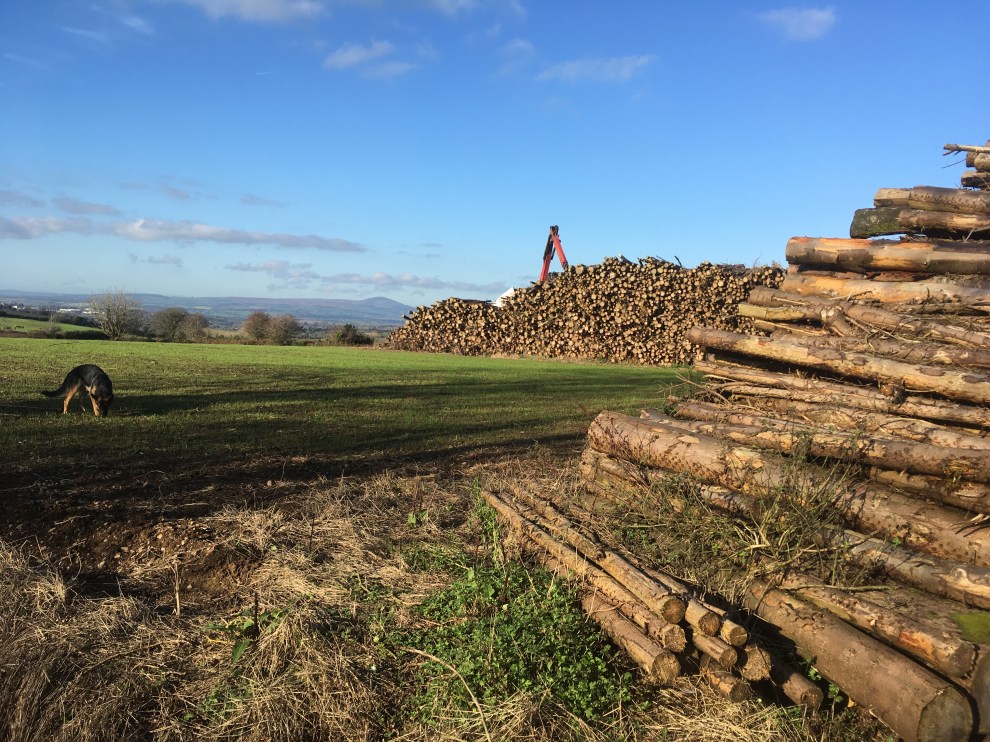 Irish Wood Producers